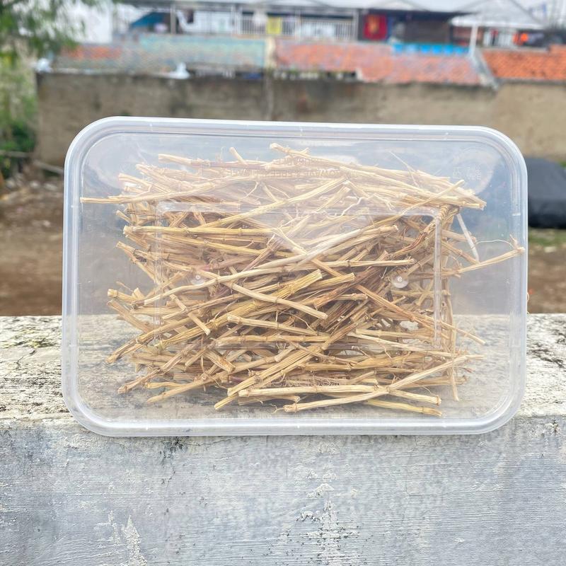 AKAR ALANG - ALANG KERING GRADE A UKURAN 30 GRAM - Shop | Tokopedia