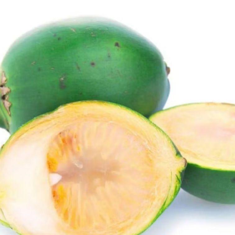 Buah Pinang muda segar 100%asli dan muda - Shop | Tokopedia