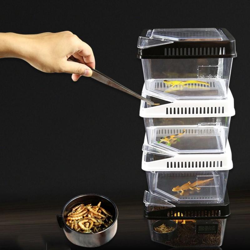 Spider Breeding Transparent Anti-escape Reptile Terrarium Tank Flip ...