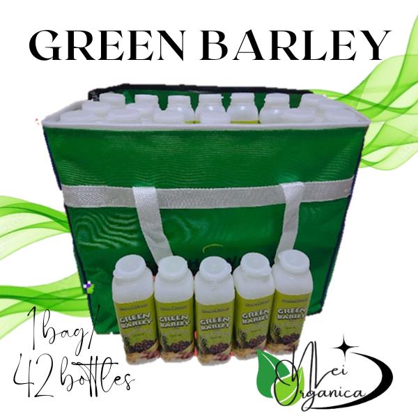 1 Bag GREEN BARLEY [Health Wealth] with Tropical Fruit Powde - TikTok ...