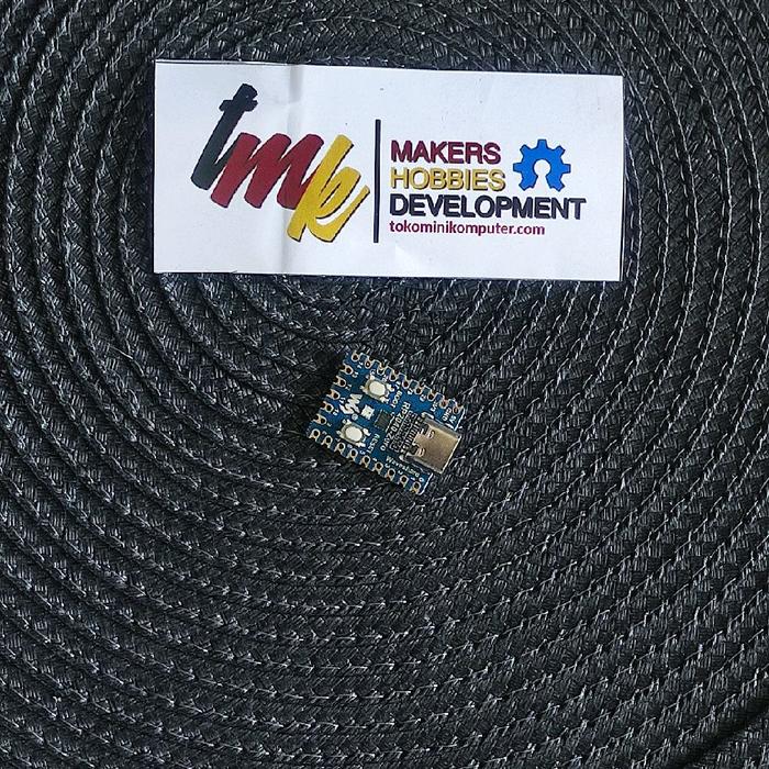 Jual Raspberry Pi Pico RP2040-Zero, a Pico-like MCU Board Based on ...