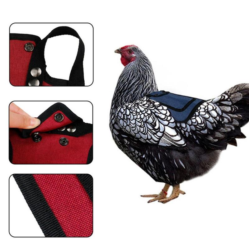 angsadhu Lightweight Chicken Saddle for Walking Large Hen Fixable ...