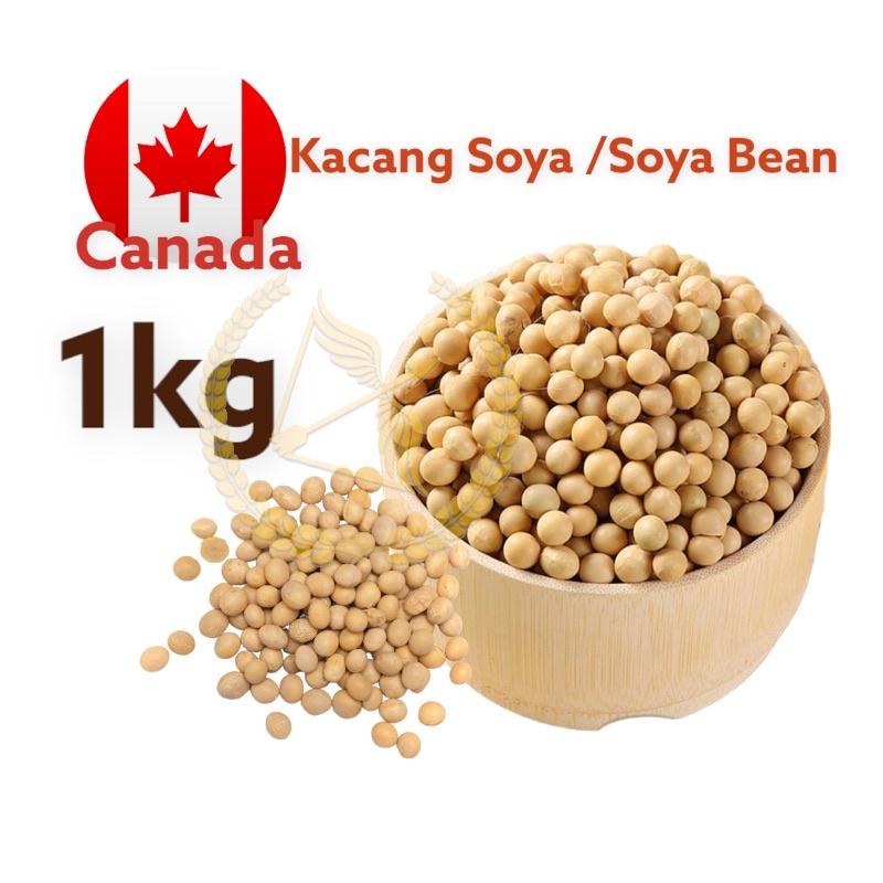 Kacang Soya/ Soya Bean 1kg / Premium Quality / Canada - TikTok Shop ...