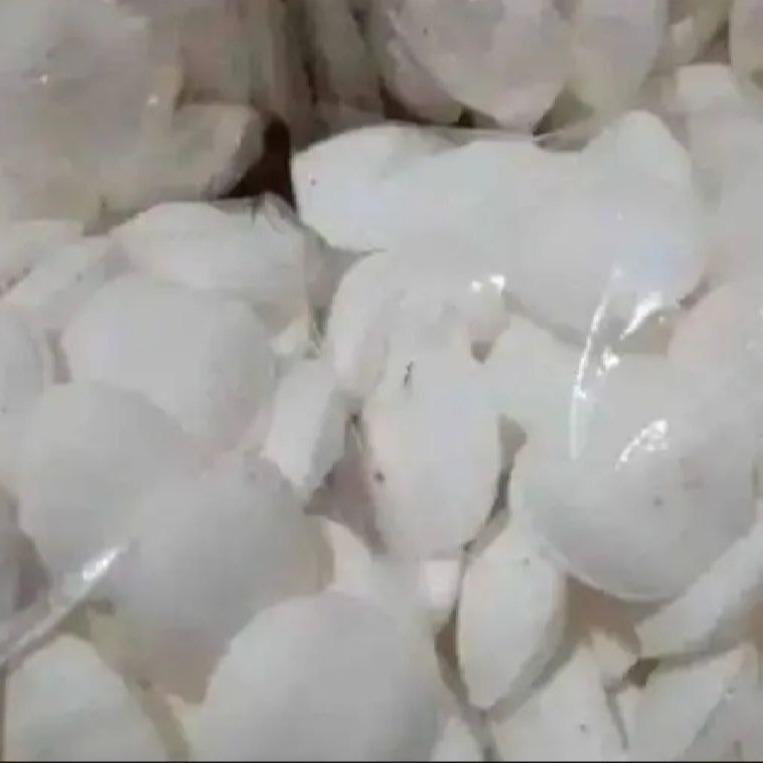 Kamper Bulat Pertanian 1 KG VOKAS Pengendali Hama Tanaman Ramah - Shop ...