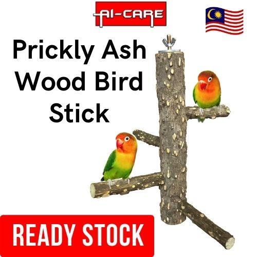 READY STOCK Natural Prickly Ash Wooden Bird Standing Pole With - TikTok ...