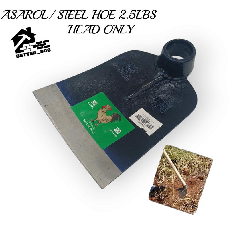 ASAROL) STELL HOEL) = HEAD ONLY= (2.5LBS) - TikTok Shop Philippines