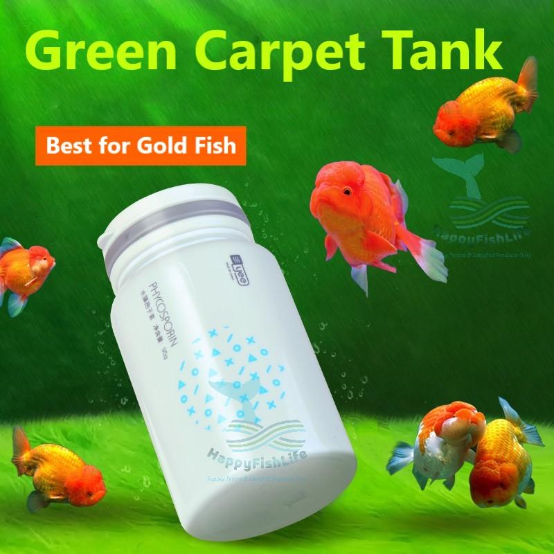 Yee Green Carpet Hair Algae Seed Spore for Gold Fish Green Carpet ...