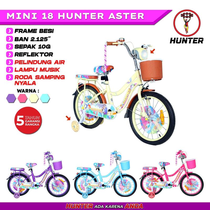 HUNTER ASTER 12,16,18 in SEPEDA MINI ANAK CEWEK KOREAN STYL - Shop | Tokopedia