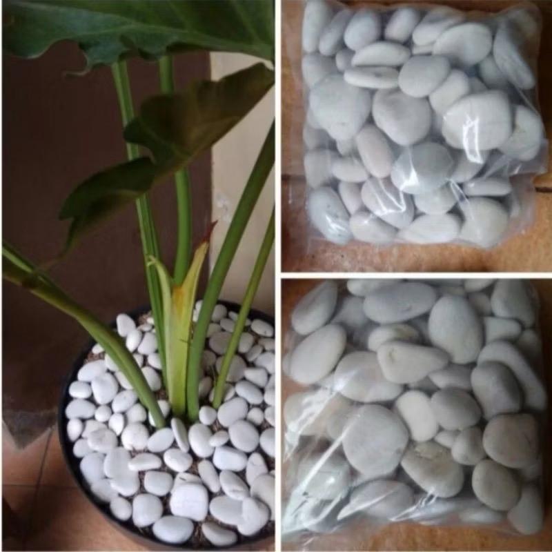 batu kolar colar Putih 2kg -3kg / batu kolar Putih / batu kolar - Shop ...