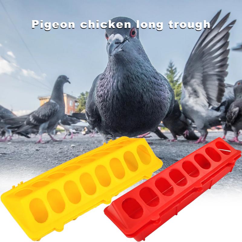 [befseou] Pigeon Feeding Trough 360 Degrees Usage Easy-assembled ...