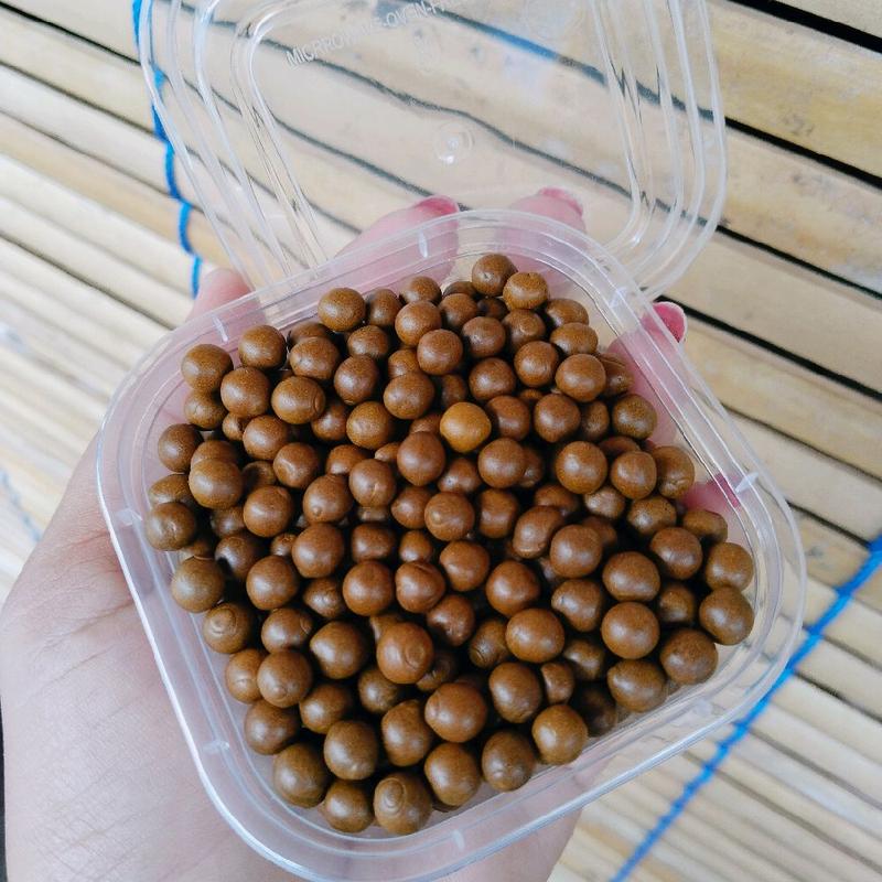 Pil pinang muda/pinang anum kemasan 100gram - Shop | Tokopedia