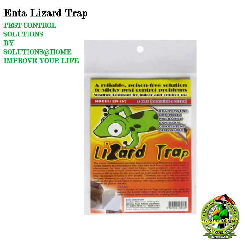 Lizard Trap Lizard Repellent Pest Stop Lizard killer - TikTok Shop ...