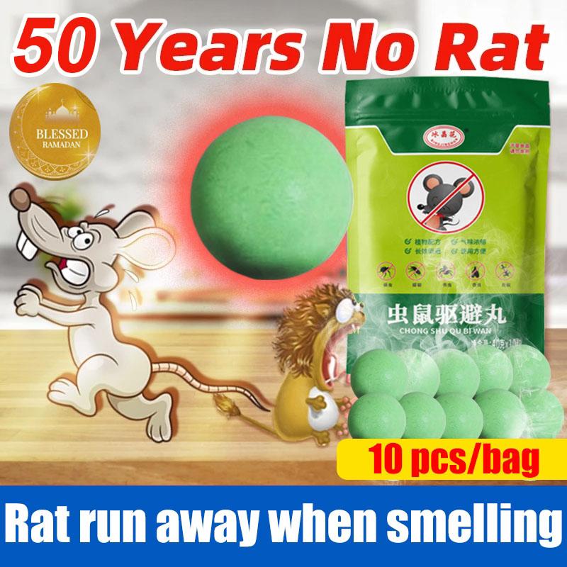 READY STOCK IN MALAYSIA 10pcs New High-Performance Rat & Insect ...