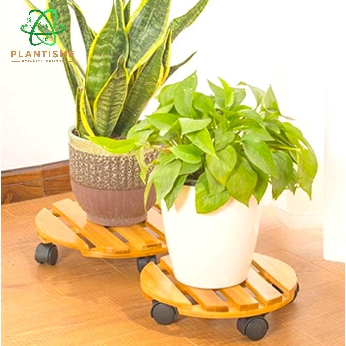 Plant Caddy Roller Base – Alas Pot Tanaman Hias dengan Roda, - Shop ...