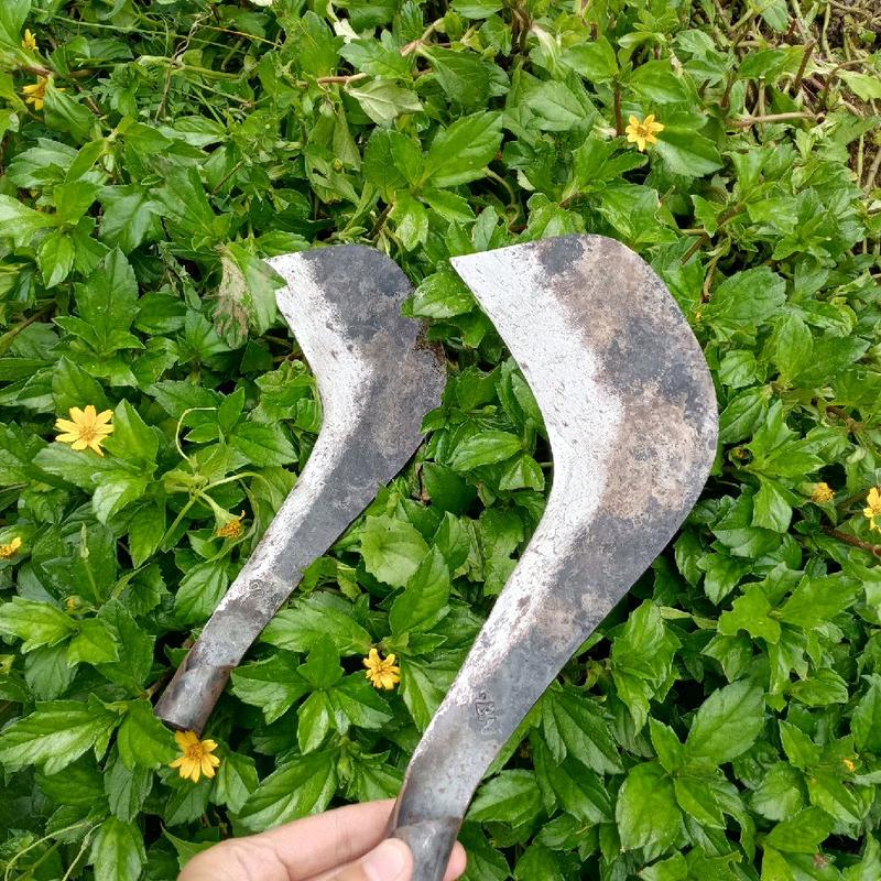 Congkrang CWD Baja Asli Berkualitas - Model Terbaru - Shop | Tokopedia