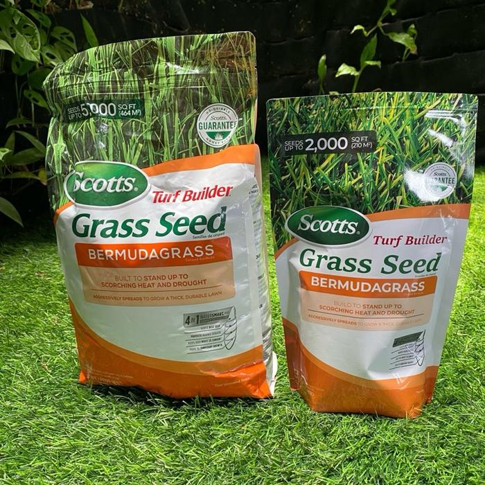 Jual Scotts Benih Rumput Golf 25g - Biji Rumput Bermuda Grass untuk ...