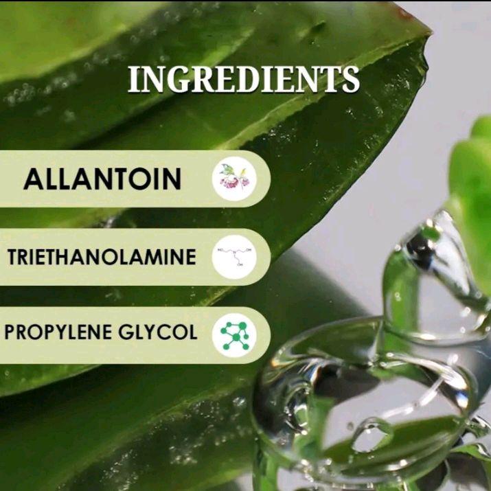 Aloe Vera Exfoliating Gel | Whitening & Moisturize Kulit Cerah Sehat ...