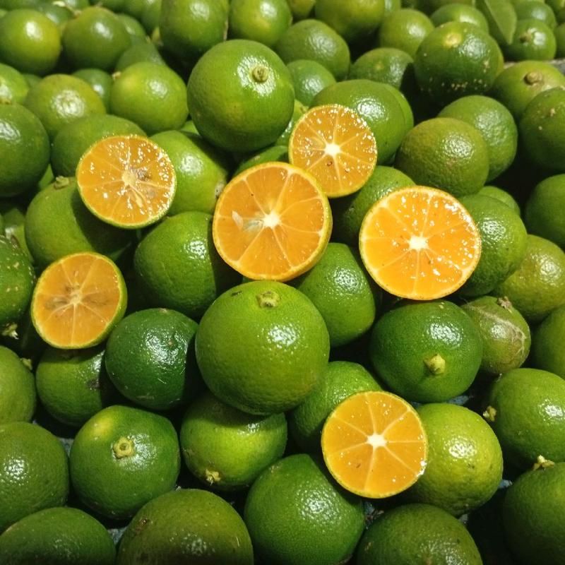Jeruk Sonkit Kasturi Fresh Kalimasi Lemon Cui Jeruk Kunci Segar - Shop ...