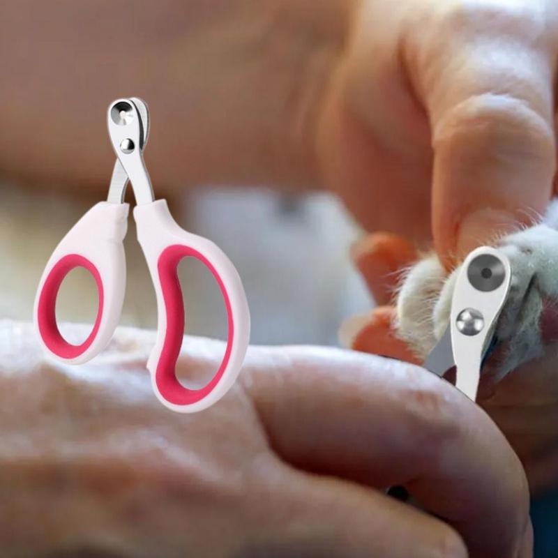 Preventing Bleeding Cat Nail Clippers Puppy Claws Cutter Stainless ...