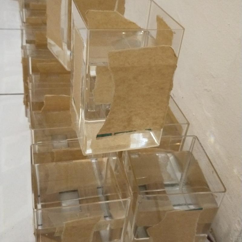 soliter mini akrilik - Shop | Tokopedia