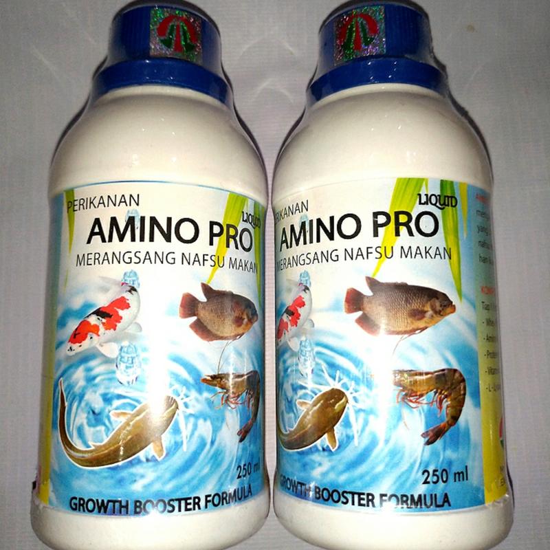 AMINO PRO LIQUID Vitamin Penambah Nafsu Makan Ikan Protein Asam Amino ...
