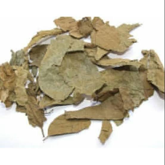 100 G GR GRAM BU ZHA YE FOLIUM MICROCOTIS - Shop | Tokopedia