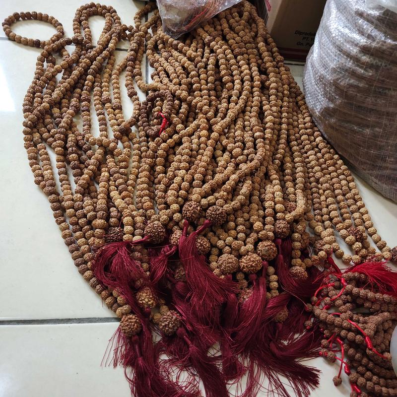 tasbih biji jenitri rudraksha - Shop | Tokopedia