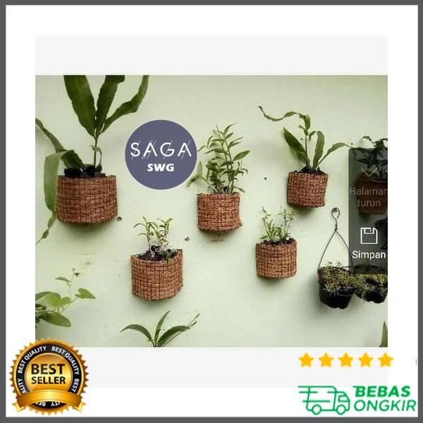 Pot vas bunga anggrek tempel dinding unik Setengah Lingkaran - Shop ...