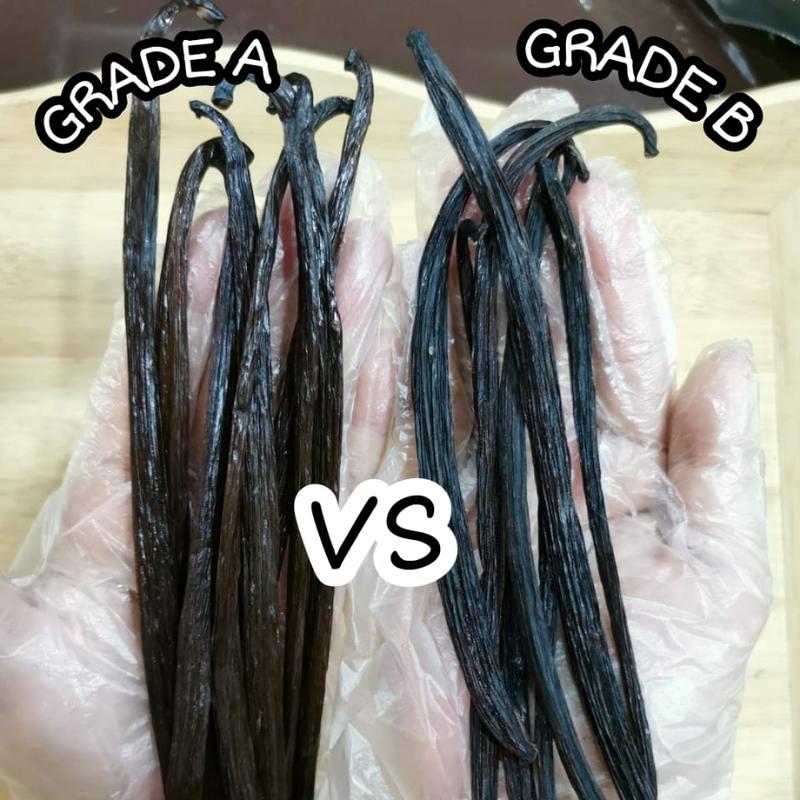Vanilla Bean 1 batang Grade A, Vanilla pod,Vanillature,Vanilla Extract ...