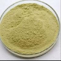 Jual Beef Extract Powder / Pure Beef Stock / Kaldu Sapi Bubuk 50Gram ...