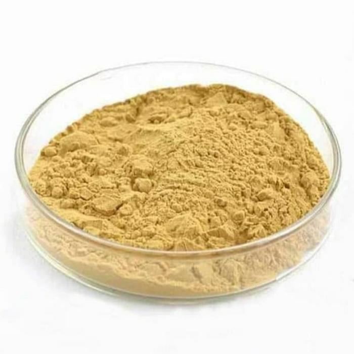 Jual Beef Extract Powder / Pure Beef Stock / Kaldu Sapi Bubuk 50Gram ...