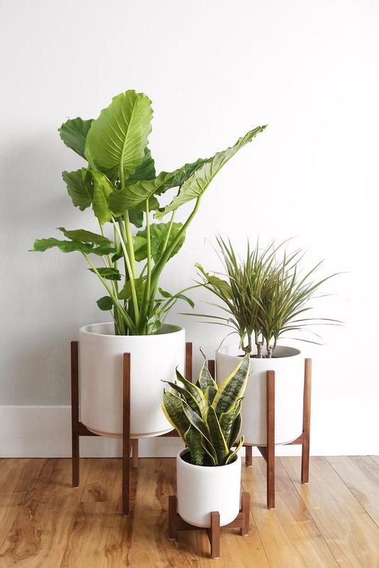 Standing pot kayu tanaman bunga warna walnut - Shop | Tokopedia