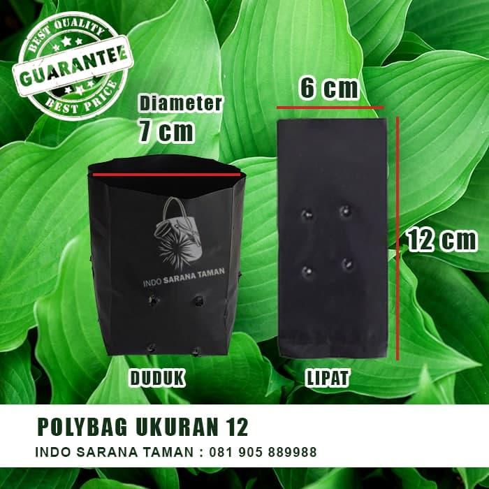 Jual Plastik Polybag ukuran 12 Polybag bibit (1 Kg = 480 lembar) - Kota ...