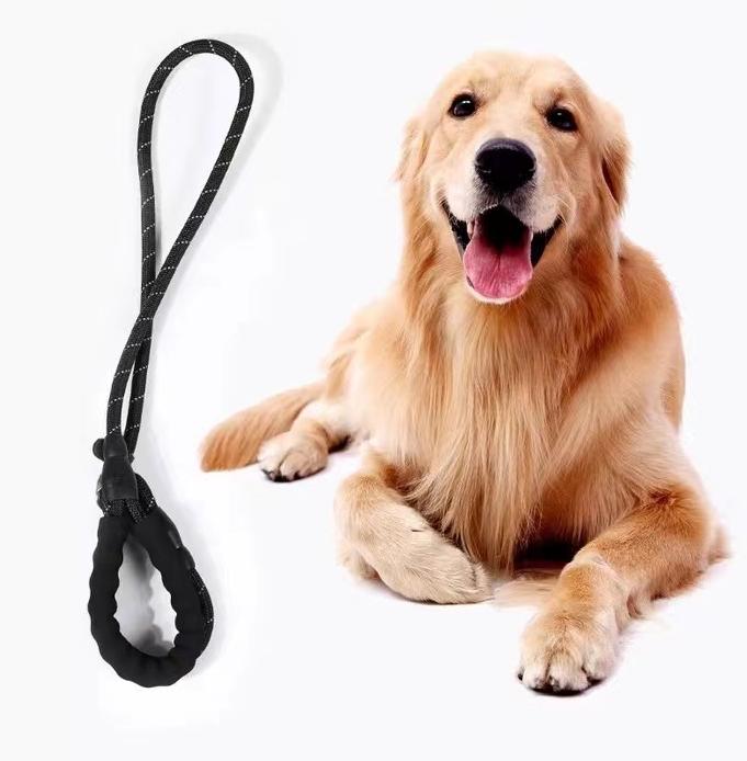 BESAR Slip Lead Tali Tuntun Anjing Nylon Dog Leash 140 CM - 250 - Shop ...