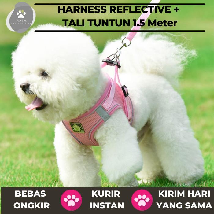 Harness Anjing | Harness Kucing + Tali Anjing | Tali Kucing 150cm ...