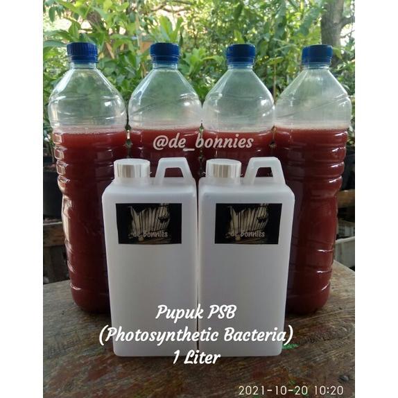 TOP Pupuk PSB (Photosynthetic Bacteria) 1 Liter - Shop | Tokopedia