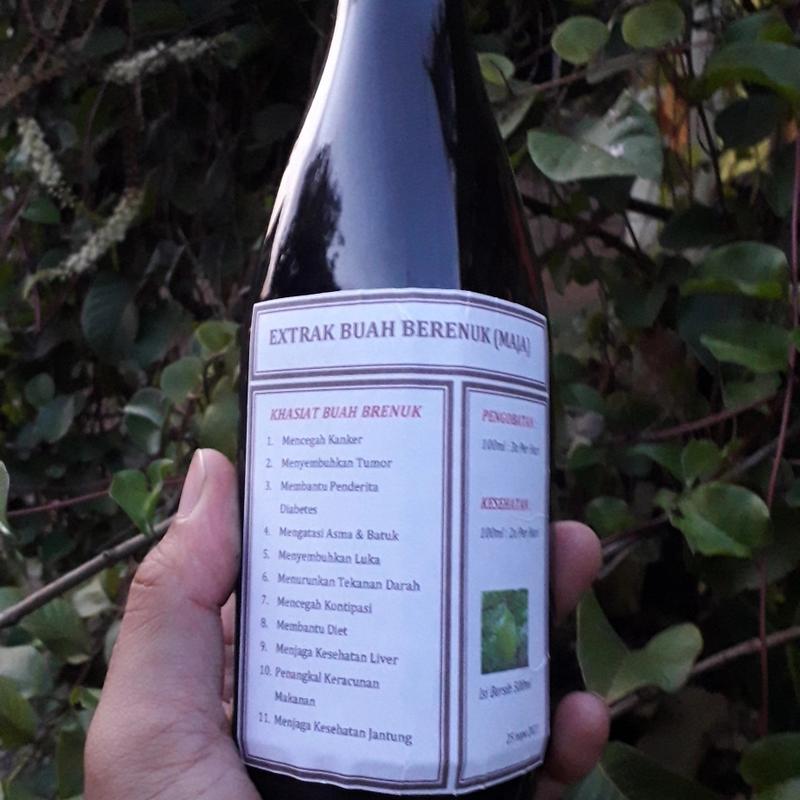 Ekstrak minuman Buah Brenuk 600ml - SARIPATI BUAH BRENUK/MAJA - Shop ...
