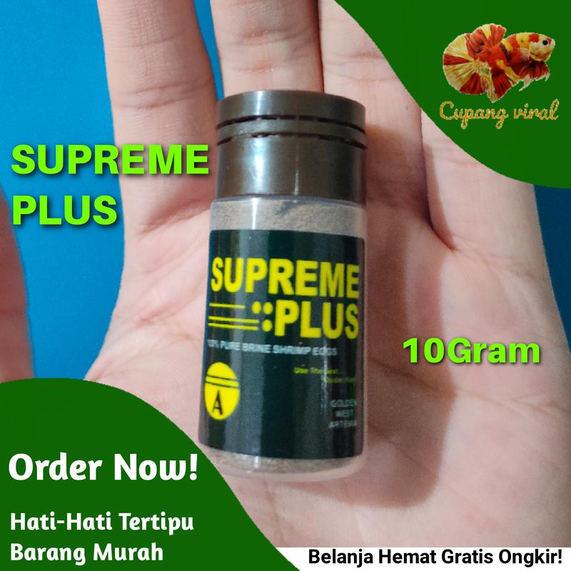 Artemia Supreme Plus Repack 10gram - Shop | Tokopedia