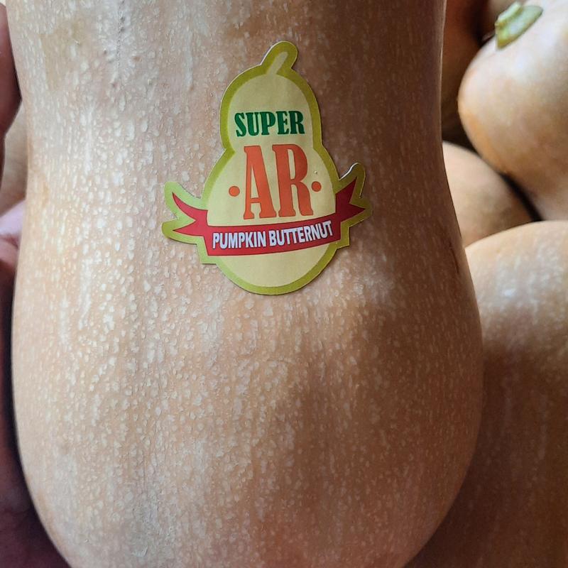 labu madu / Batternut pumkin 1500 gram - 2500 gram - Shop | Tokopedia