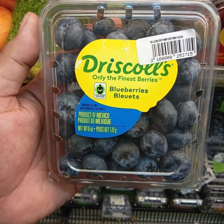 blueberry driscoll mexsico 170 grm - Shop | Tokopedia
