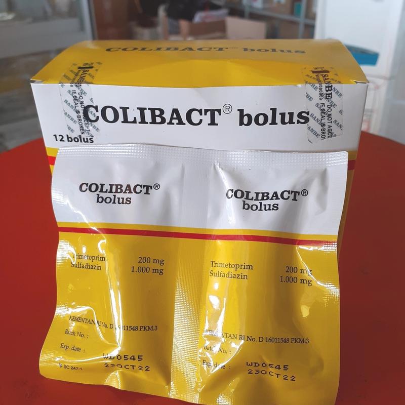 Colibact Bolus 1 Pack isi 12 Untuk Hewan Besar - Shop | Tokopedia
