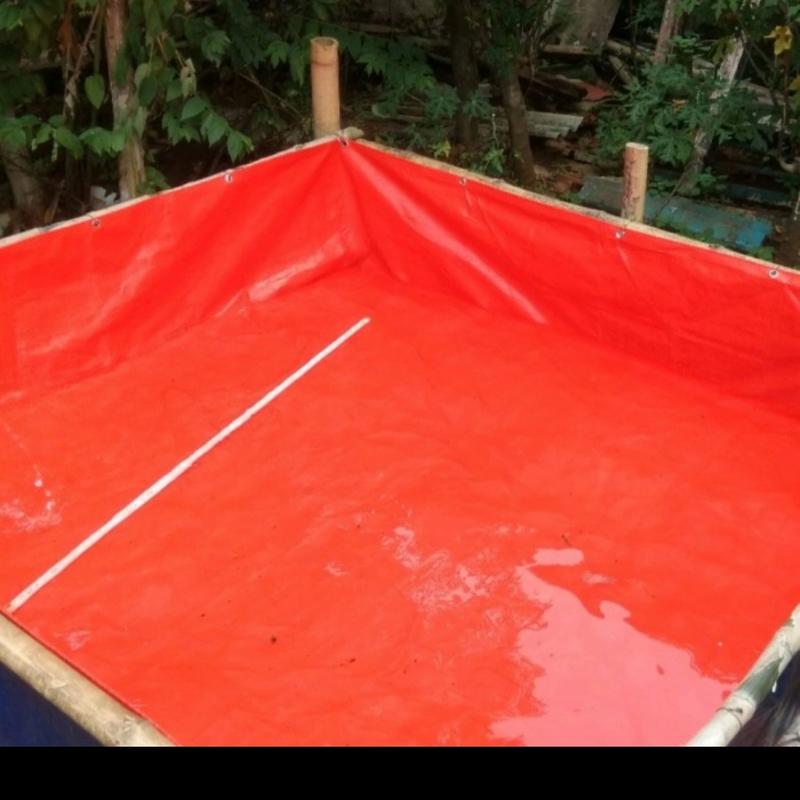 terpal kolam 1,5x1,5x1 baham A12 - Shop | Tokopedia