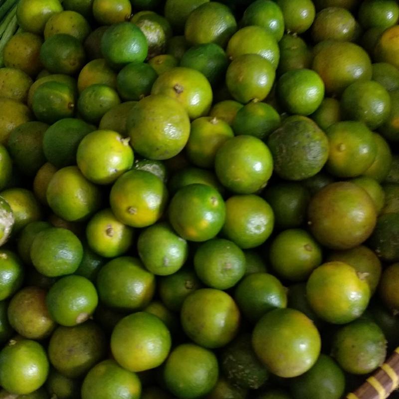 Buah jeruk songkit/ lemon cui 1kg - Shop | Tokopedia