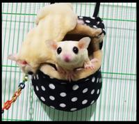 Jual BABYBOX POUCH SUGAR GLIDER SLEEP POUCH SUGAR GLIDER TEMPAT TIDUR ...