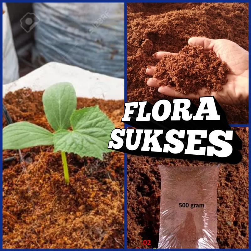 Cocopeat Coco Peat + 500 gram Cocopeat Media Tanam Semai Bibit - Shop ...