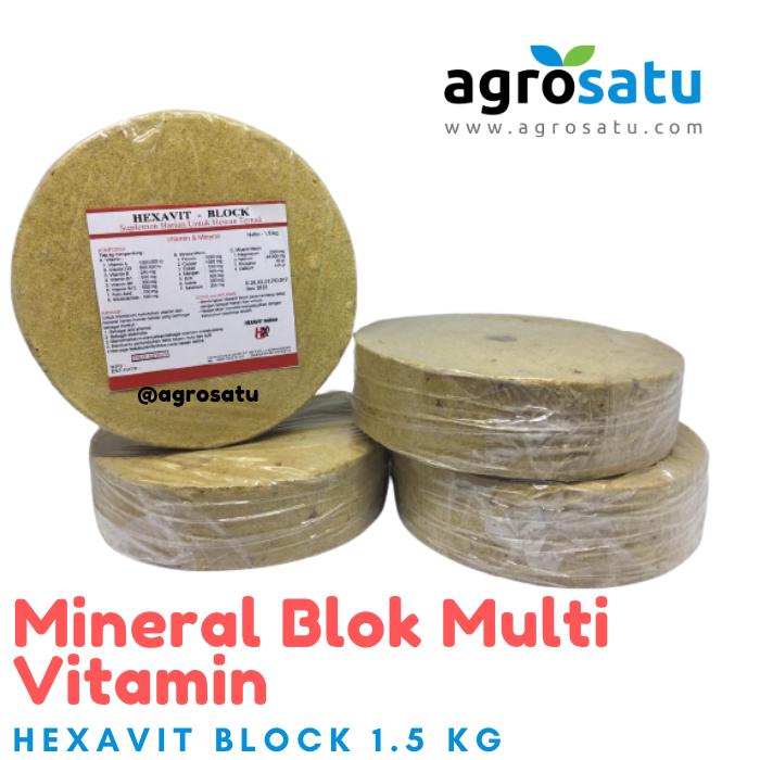 Mineral Blok Hexavit 1.5Kg Garam Multivitamin Sapi Kambing Domba - Shop ...