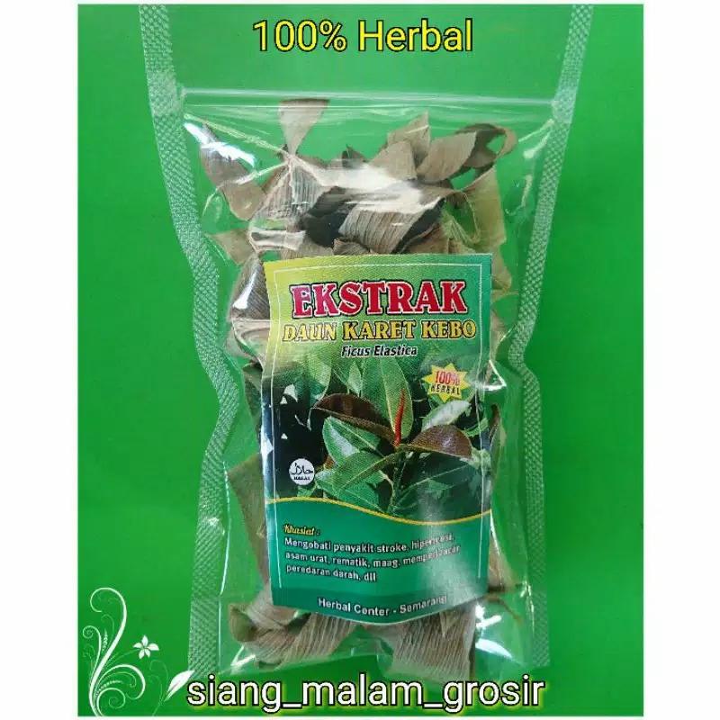 daun karet kebo kering obat stroke - Shop | Tokopedia