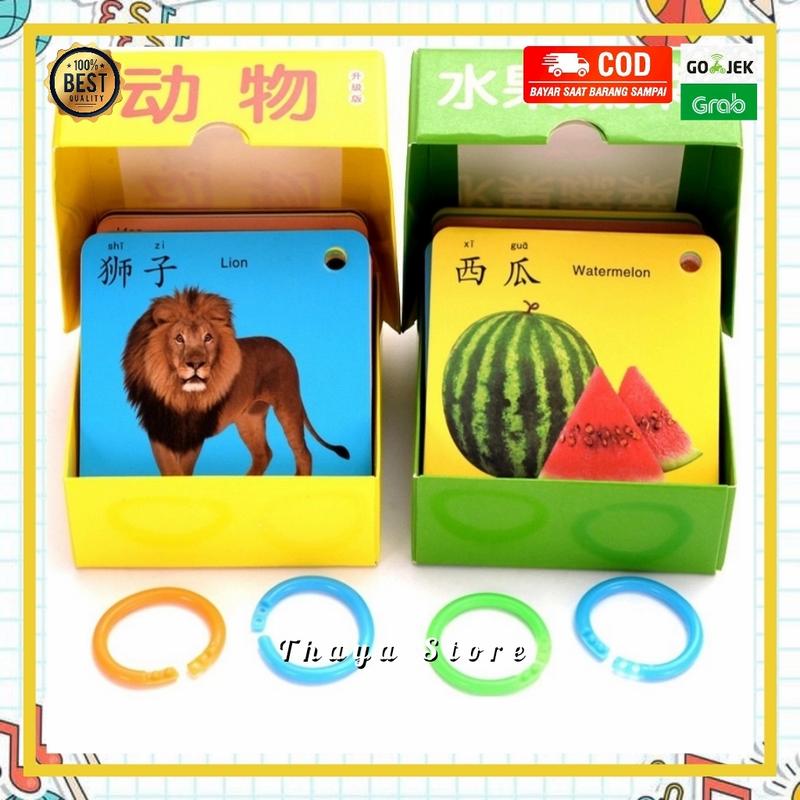flash card mandarin english - children learning cards - kart - Shop ...