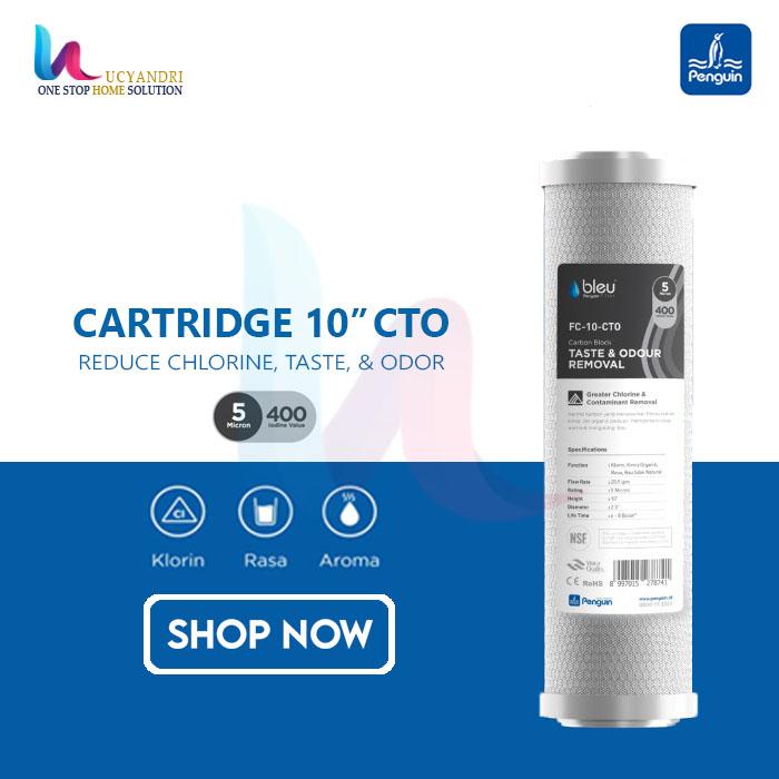Jual Cartridge Saringan Air / Filter Air Penguin CTO Carbon Block 10 ...