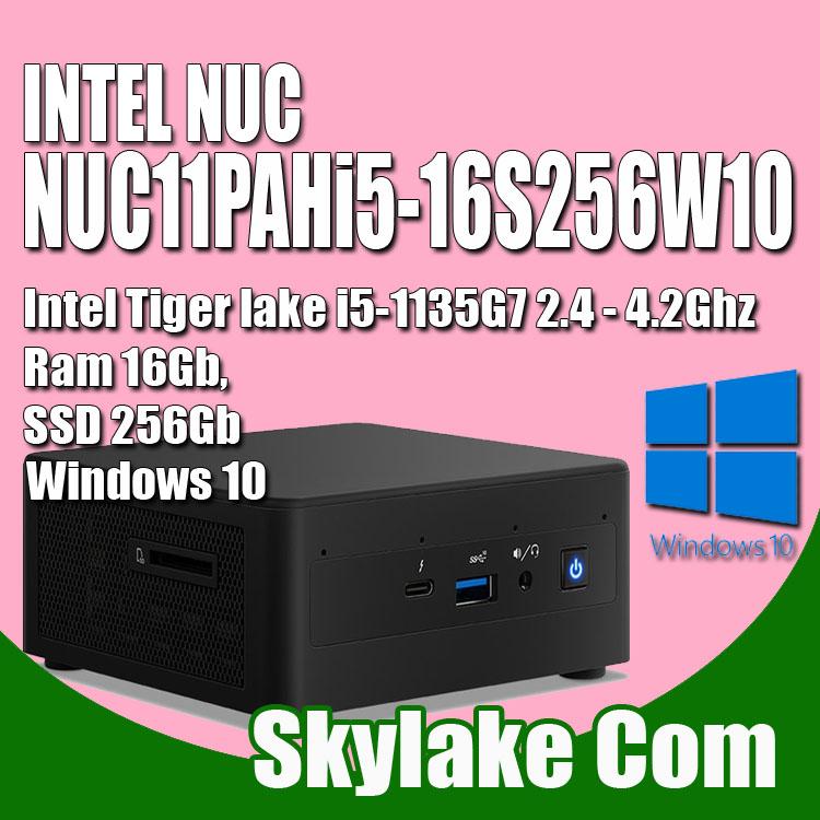 INTEL NUC11PAHi5-16S256W10 (RAM 16GB SSD 256GB WIN10 CORE I5 - Shop ...